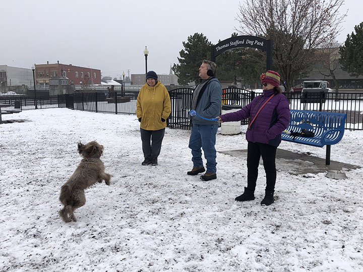 PHOTO: Friends meet at the dog park | News, Sports, Jobs - The Alpena News